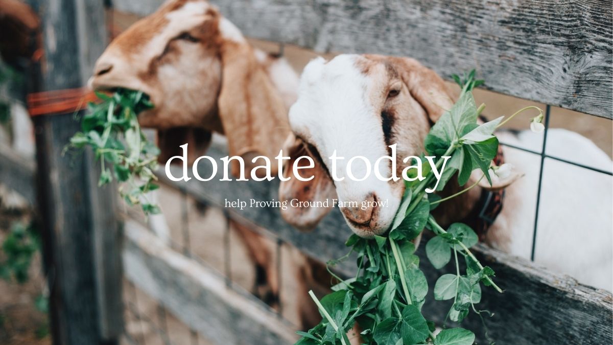 Growing PGF Together | Proving Ground Farm