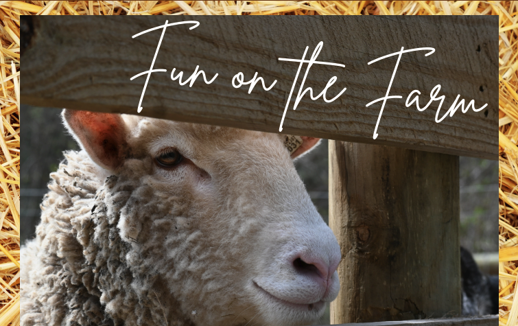 Fun on the Farm June 14, 2025 | Proving Ground Farm